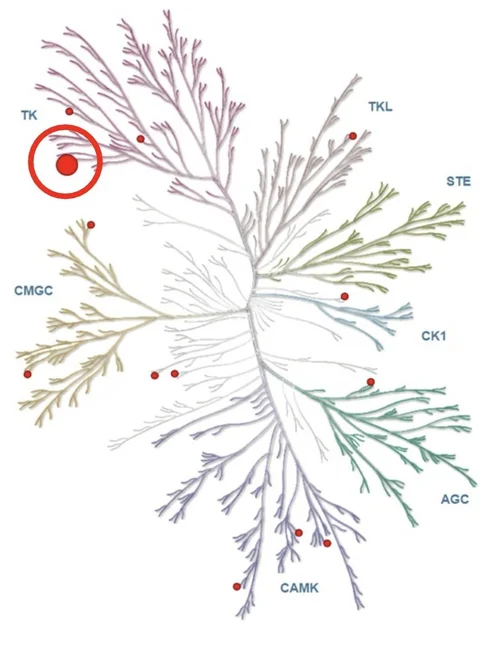 Publications — Chodera lab // MSKCC
