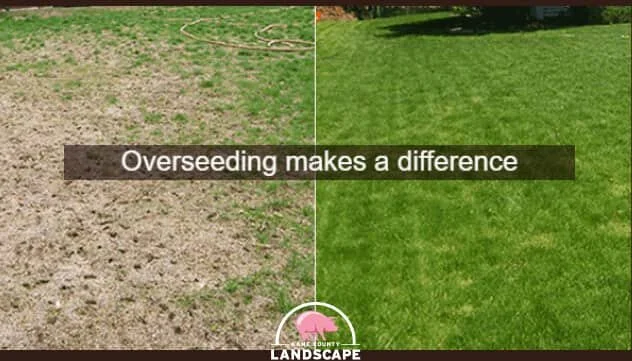Fall: Best time to overseed your lawn — Kane County Landscape Materials and Supply