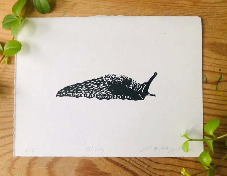 Prints & Paper — cambridge contemporary crafts