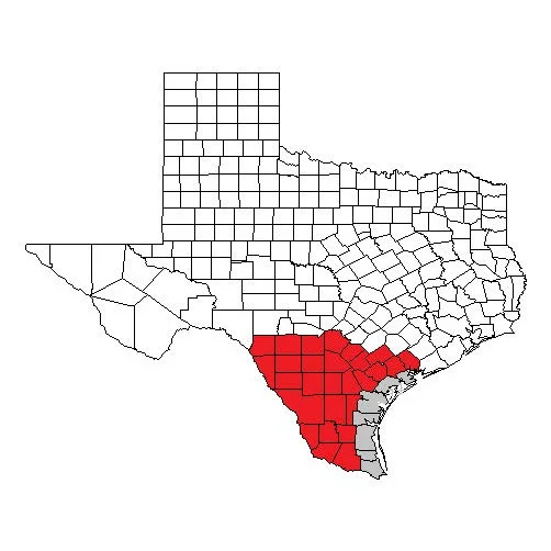 South Texas Plains and Prairies — Texas Bryofloristic Surveys