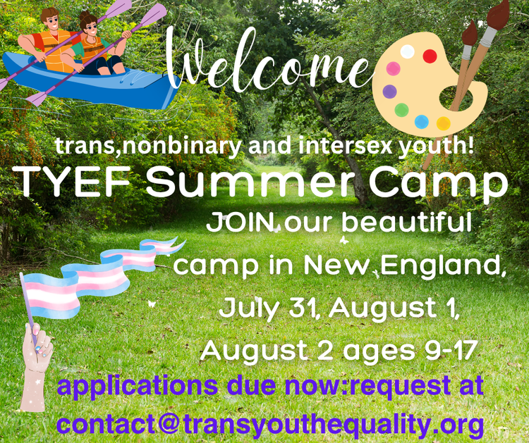 Trans Youth Equality Foundation