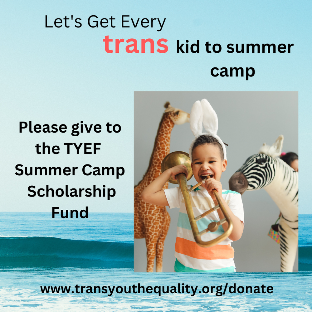 Transgender Youth Camps — Trans Youth Equality Foundation