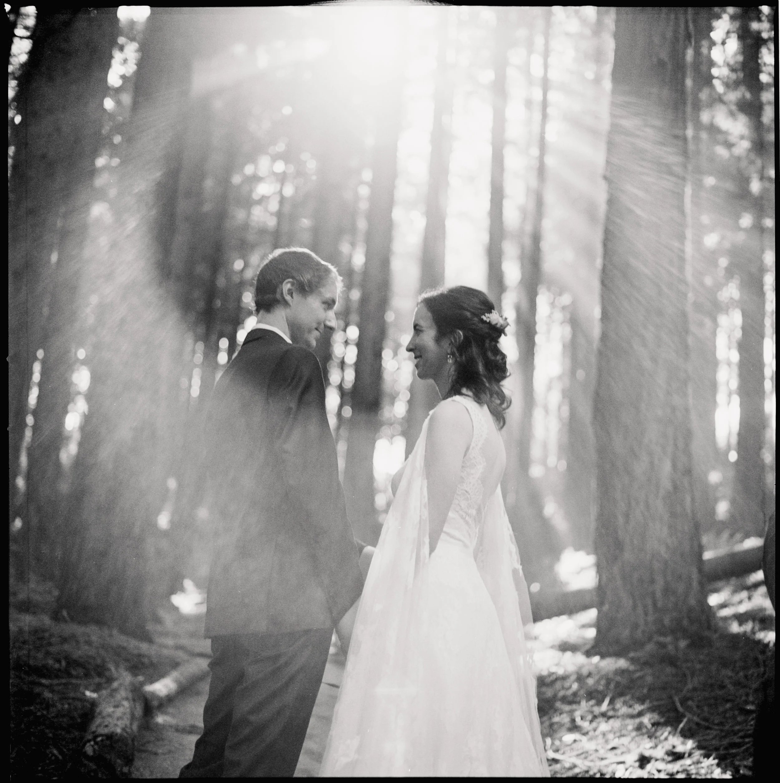 UC Berkeley Botanical Garden Wedding in the Redwood Grove and Julia ...