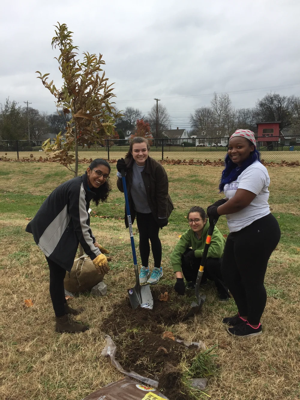 Nashville Tree Foundation