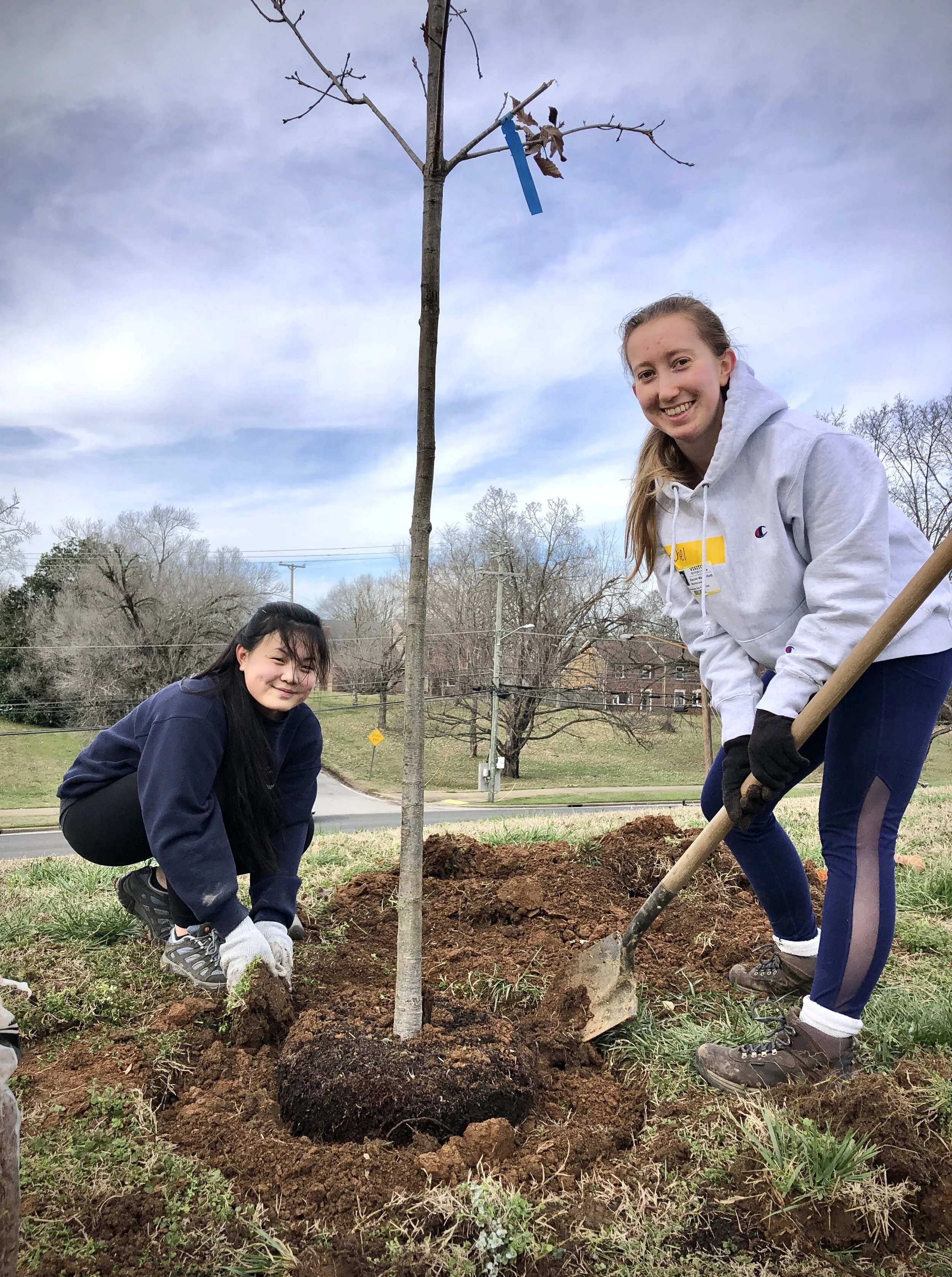 Nashville Tree Foundation