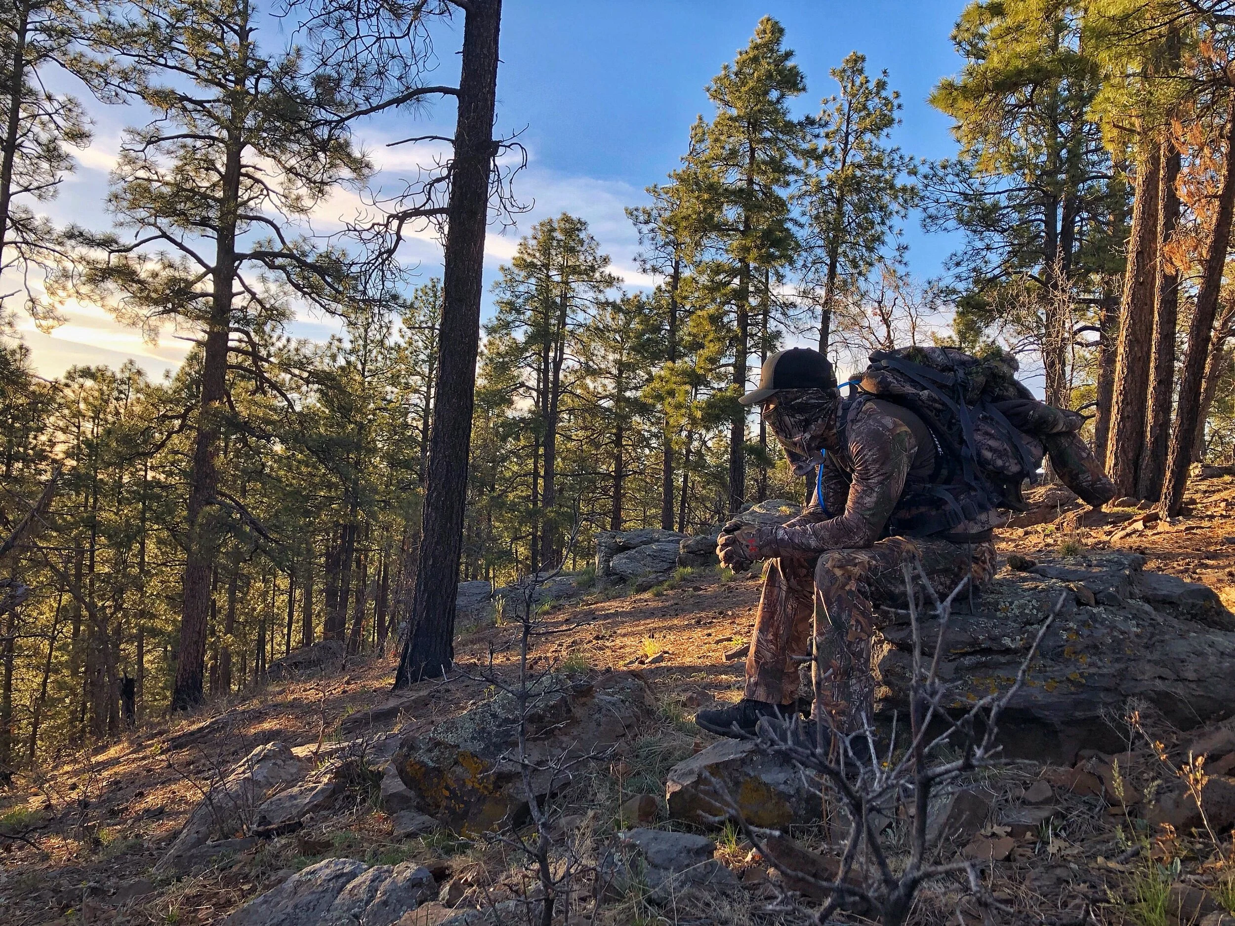 5 Guaranteed Arizona Hunting Tags: Here's How You Can Purchase Next ...
