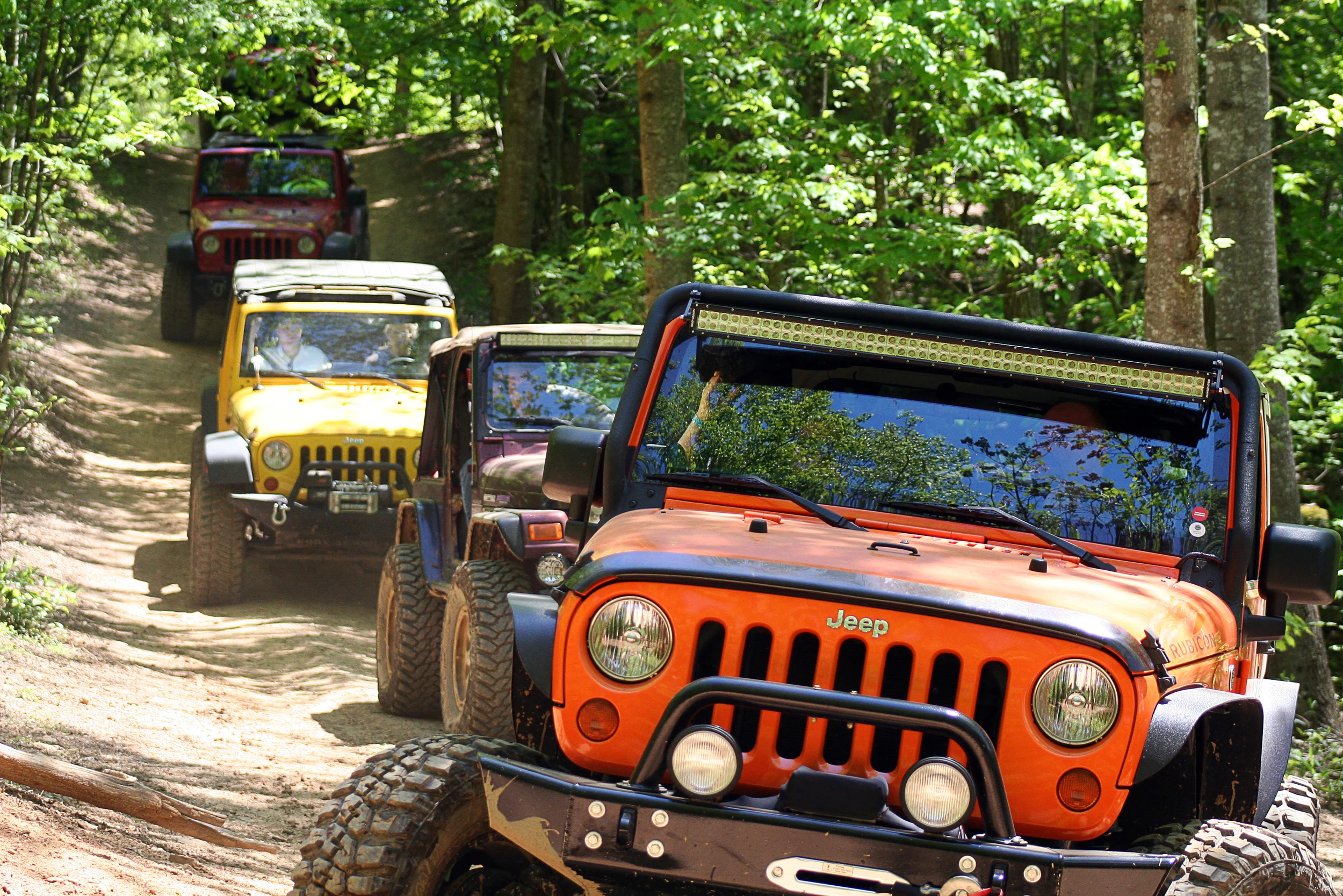 Conservation * Education * Recreation SFWDA.org USDA Forest Service ...