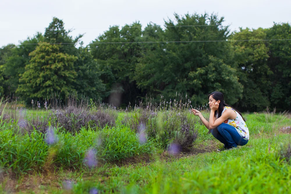 Lavender Ridge Farms — ESTHER H. STUDIO