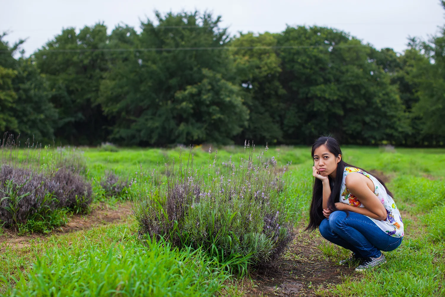 Lavender Ridge Farms — ESTHER H. STUDIO