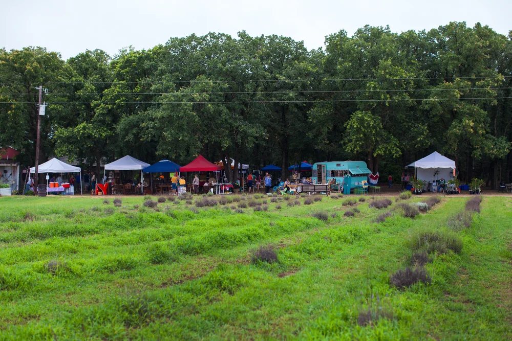 Lavender Ridge Farms — ESTHER H. STUDIO