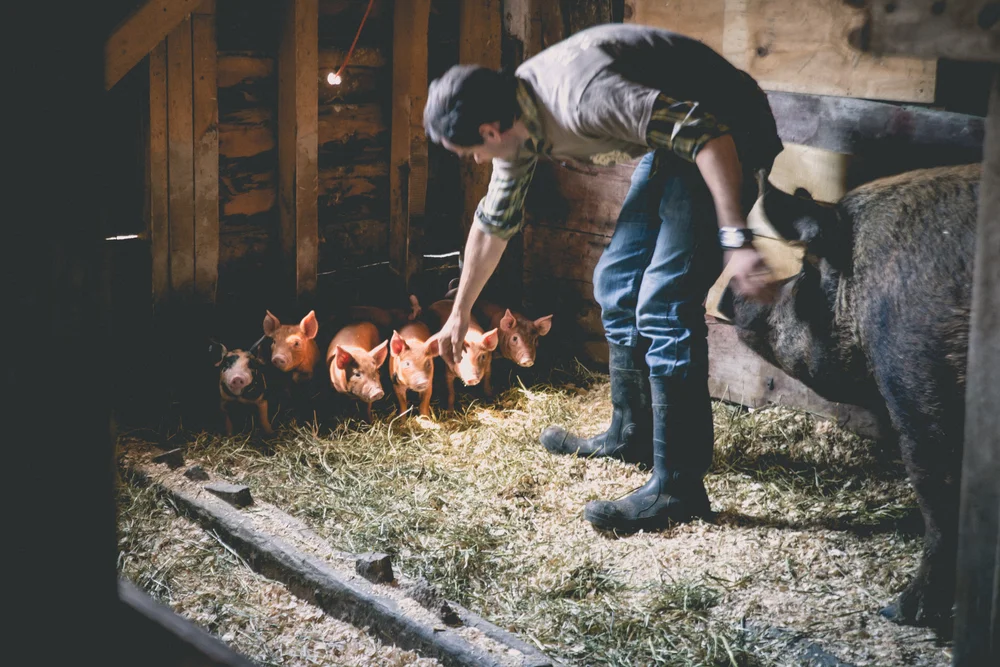 farm — Blenheim Restaurant | West Village, New York