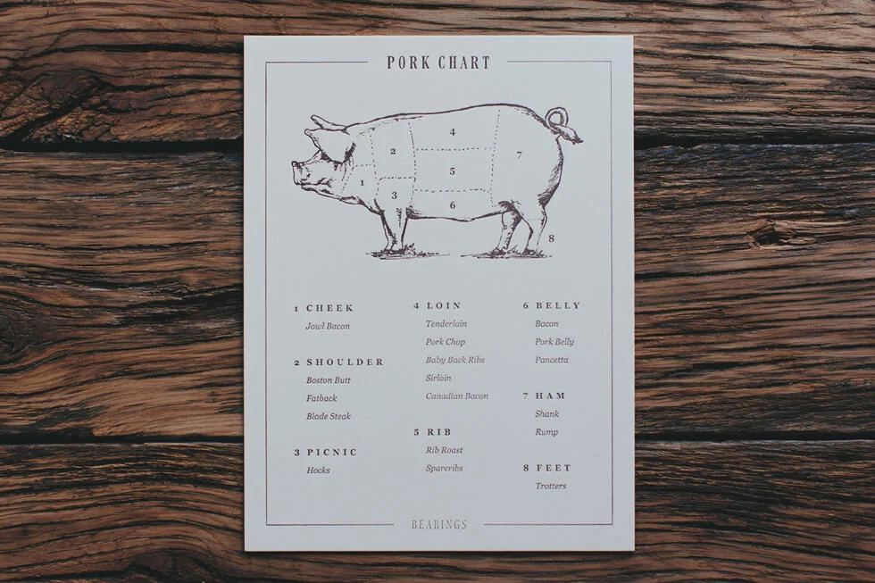 Hand Drawn, Illustrated Infographics for Bearings Guide — Russell Shaw
