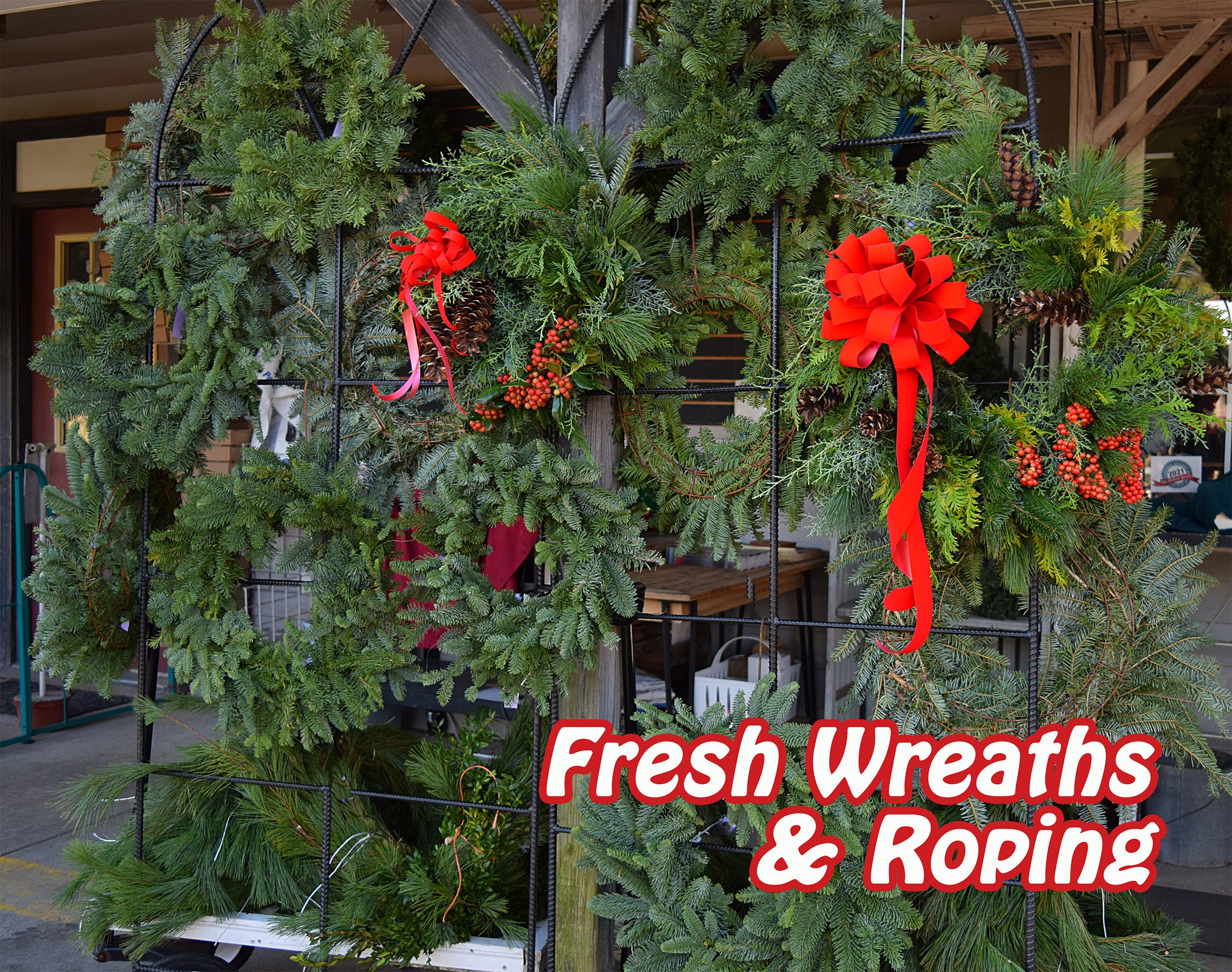 BIG BLOOMERS Flower Farm