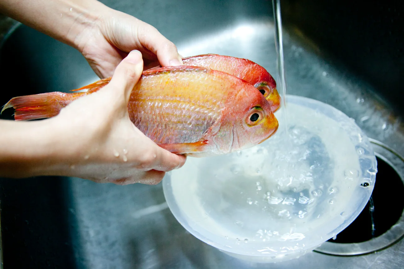 PORTFOLIO — NISHIOKA KIYOSHI PHOTOGRAPHY