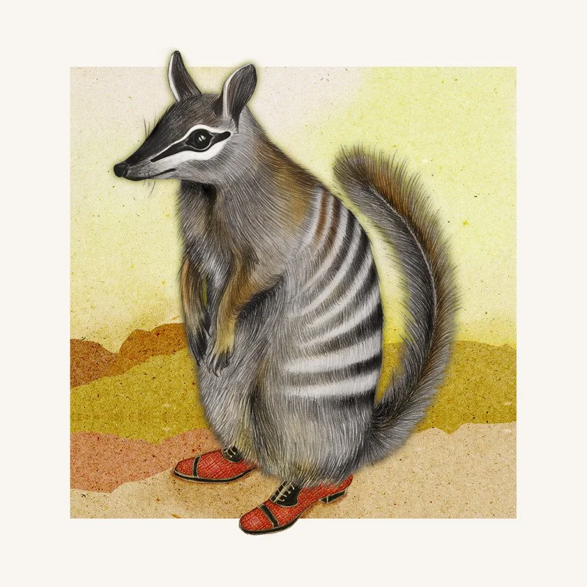 Shop — Project Numbat