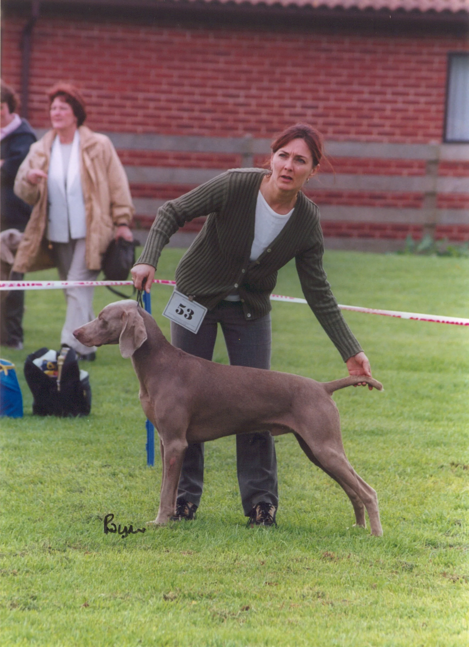 Other Trubons — Trubon Weimaraners