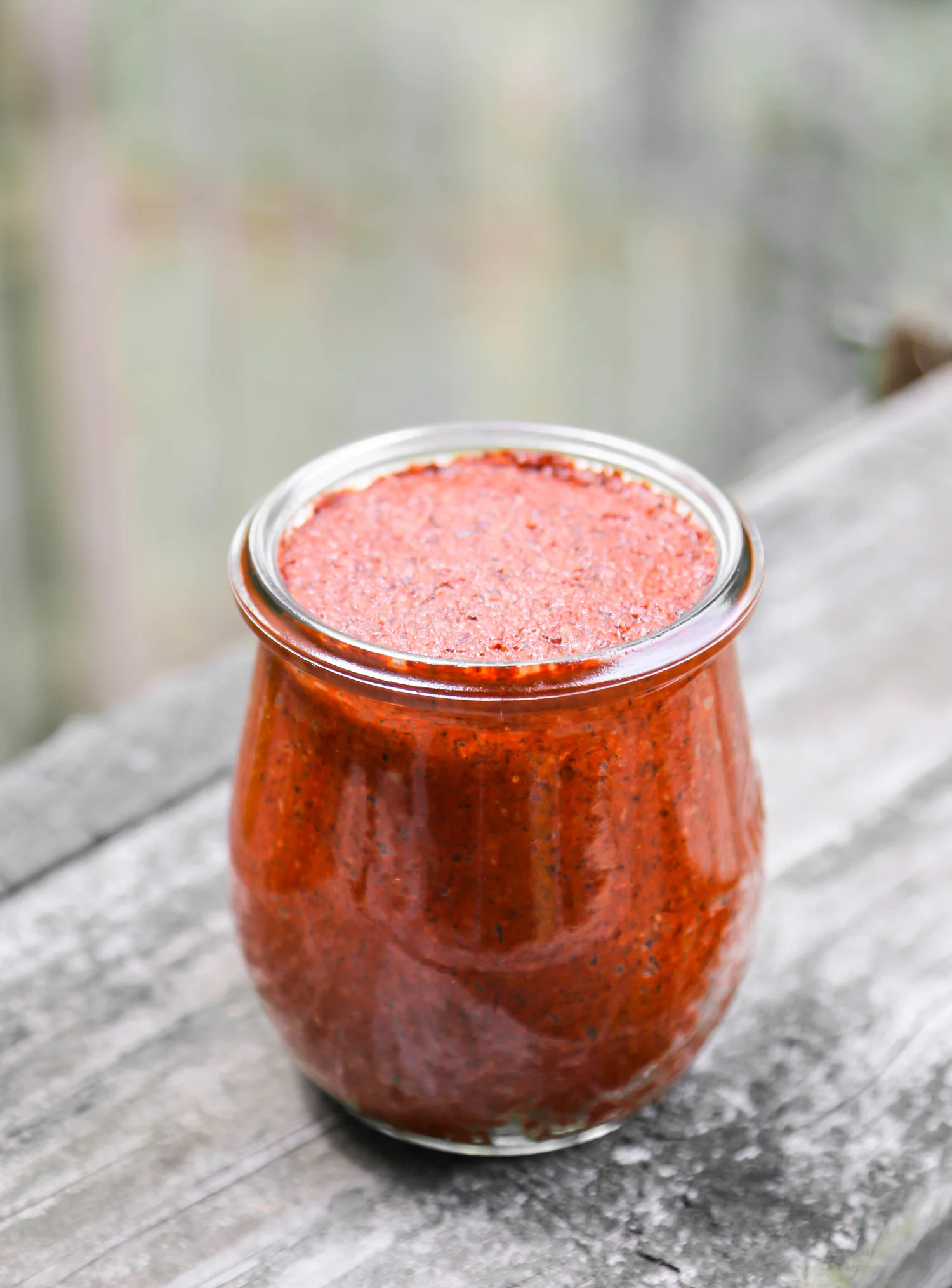 The Hungry Hounds— Mayan Red Spice Paste, Recado Colorado