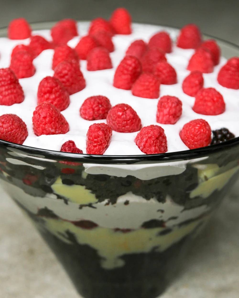 The Hungry Hounds— Chocolate Berry Trifle