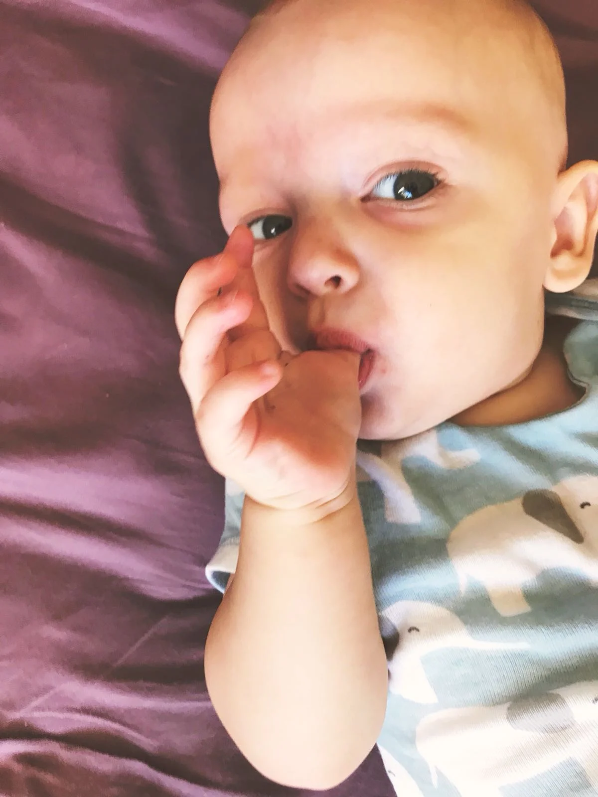 The Hungry Hounds— Haitian Ginger Cake (Bonbon Siwo), Birthdays, and a ...