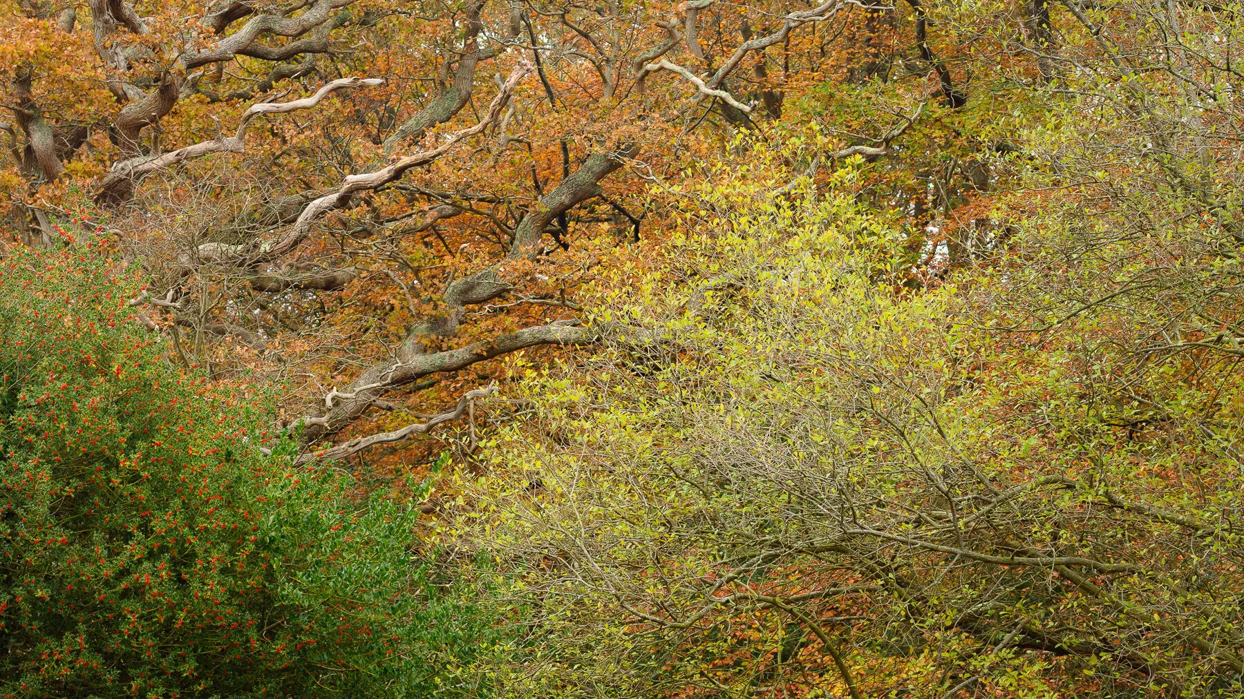 Sam Gregory Photography