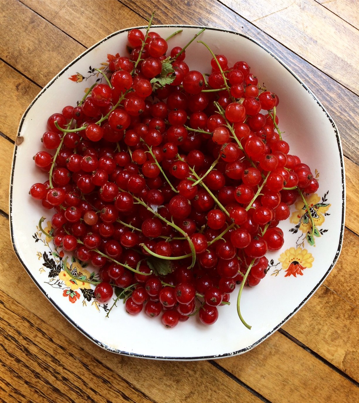 About — Serious Jam™