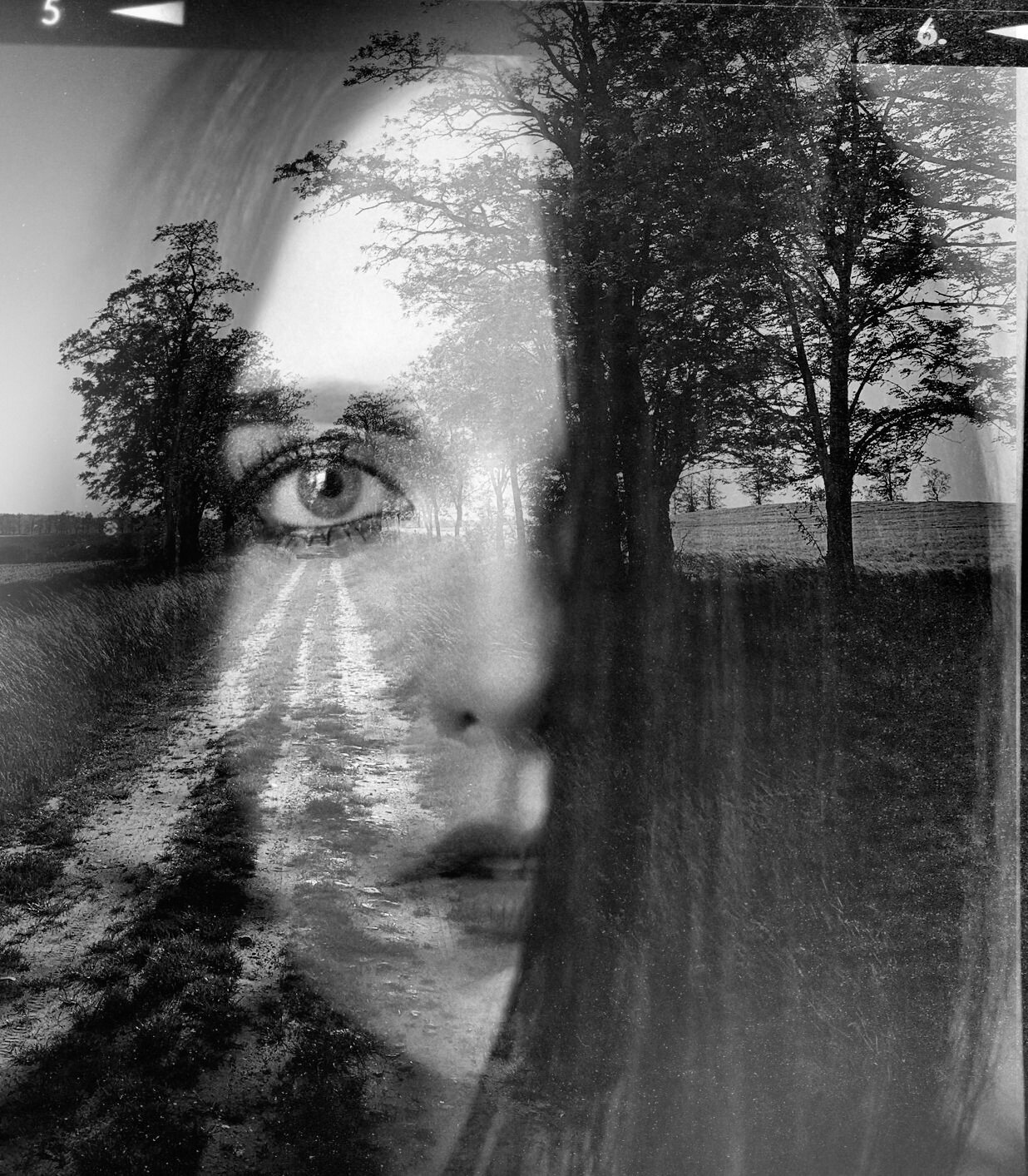 MIKE STACEY