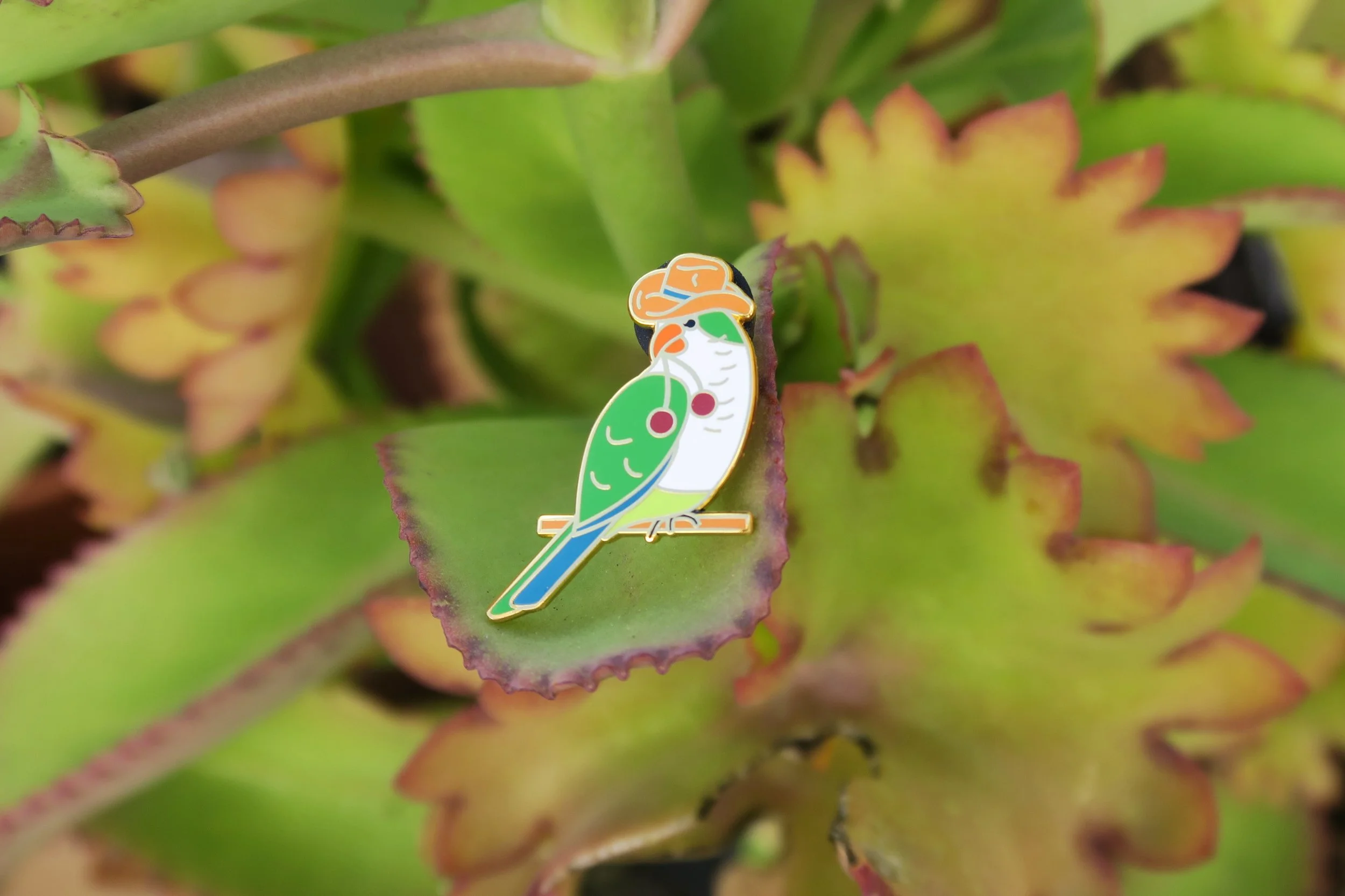 Recovering Lazyholic