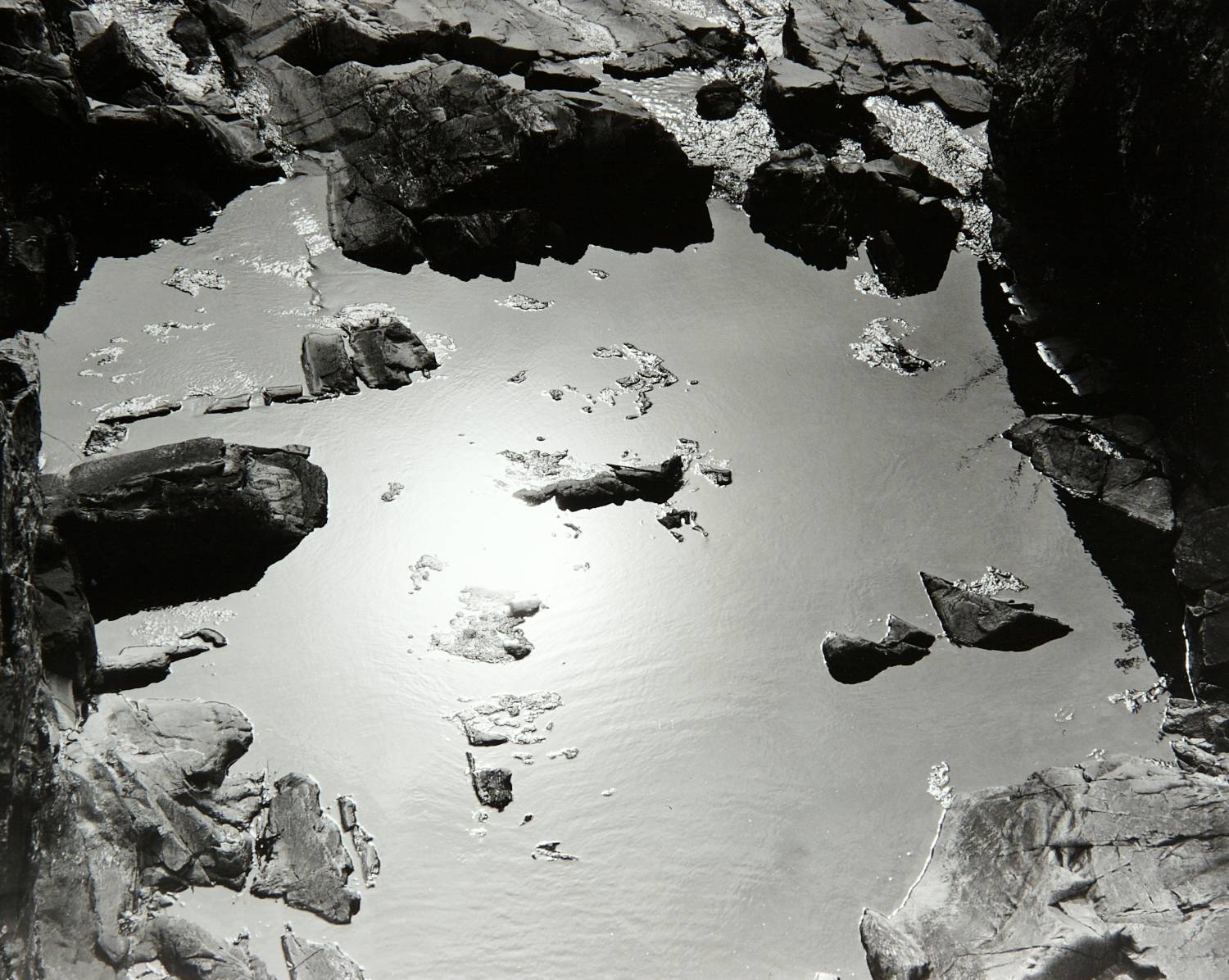 Americas/Oceana — Zander