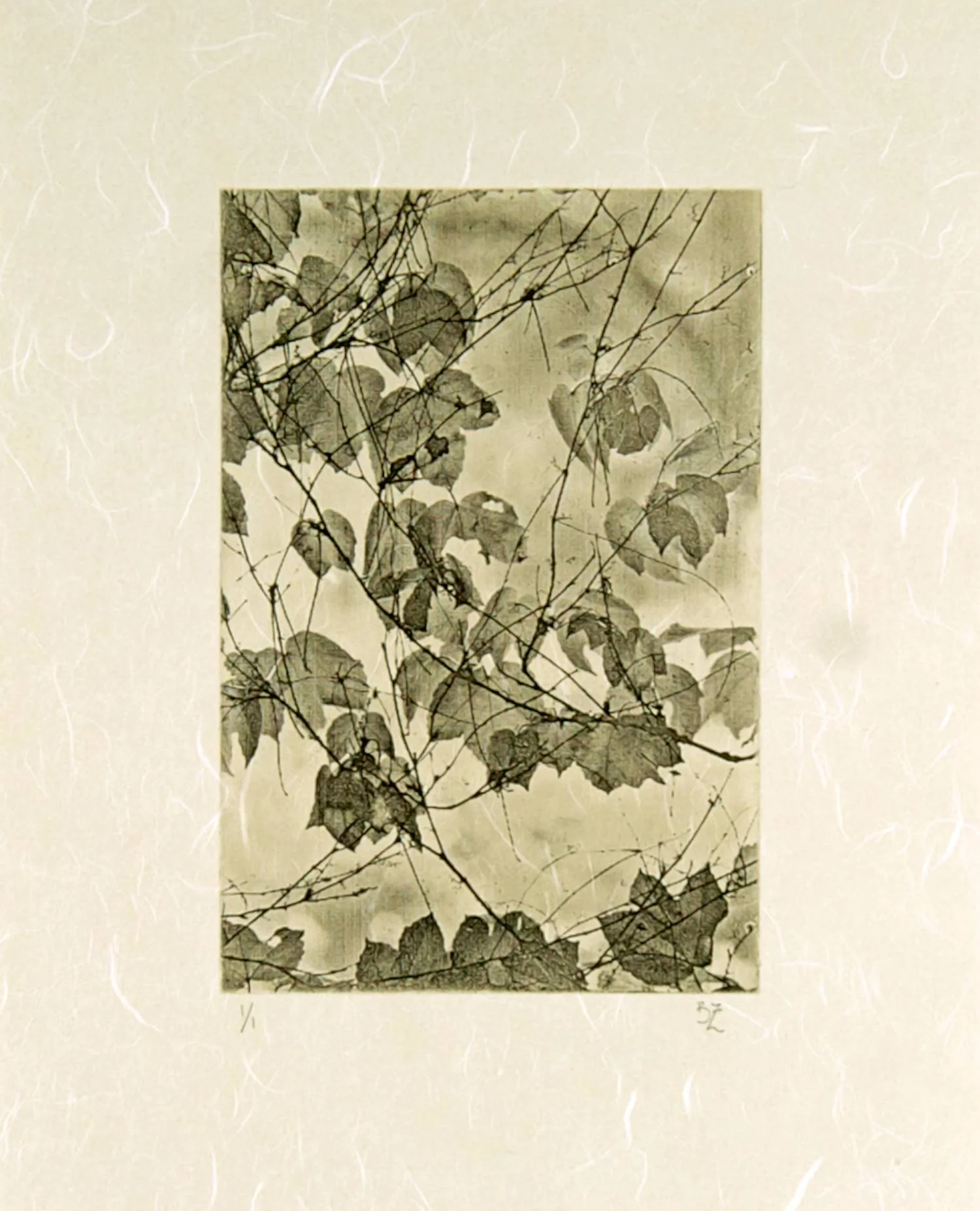 Intaglio Chine-collé — Zander