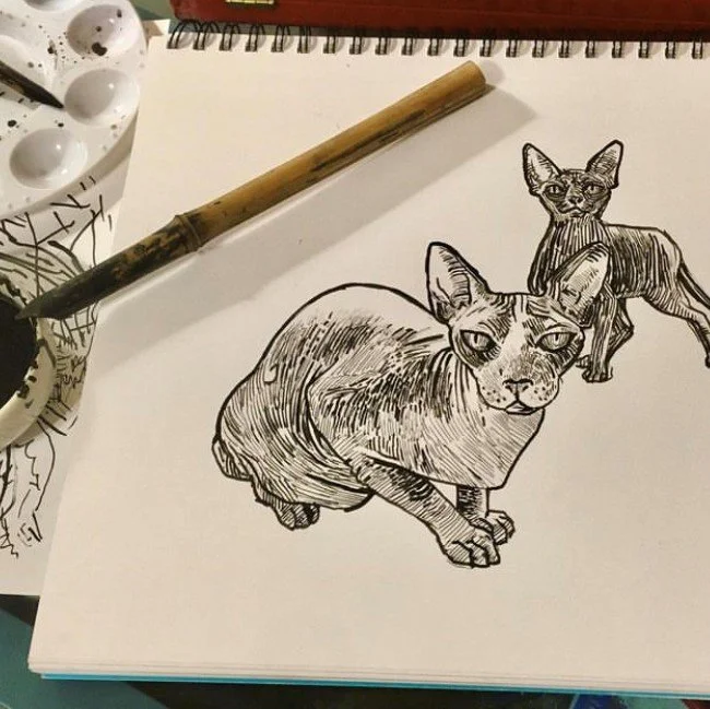 Drawing — Art League Houston