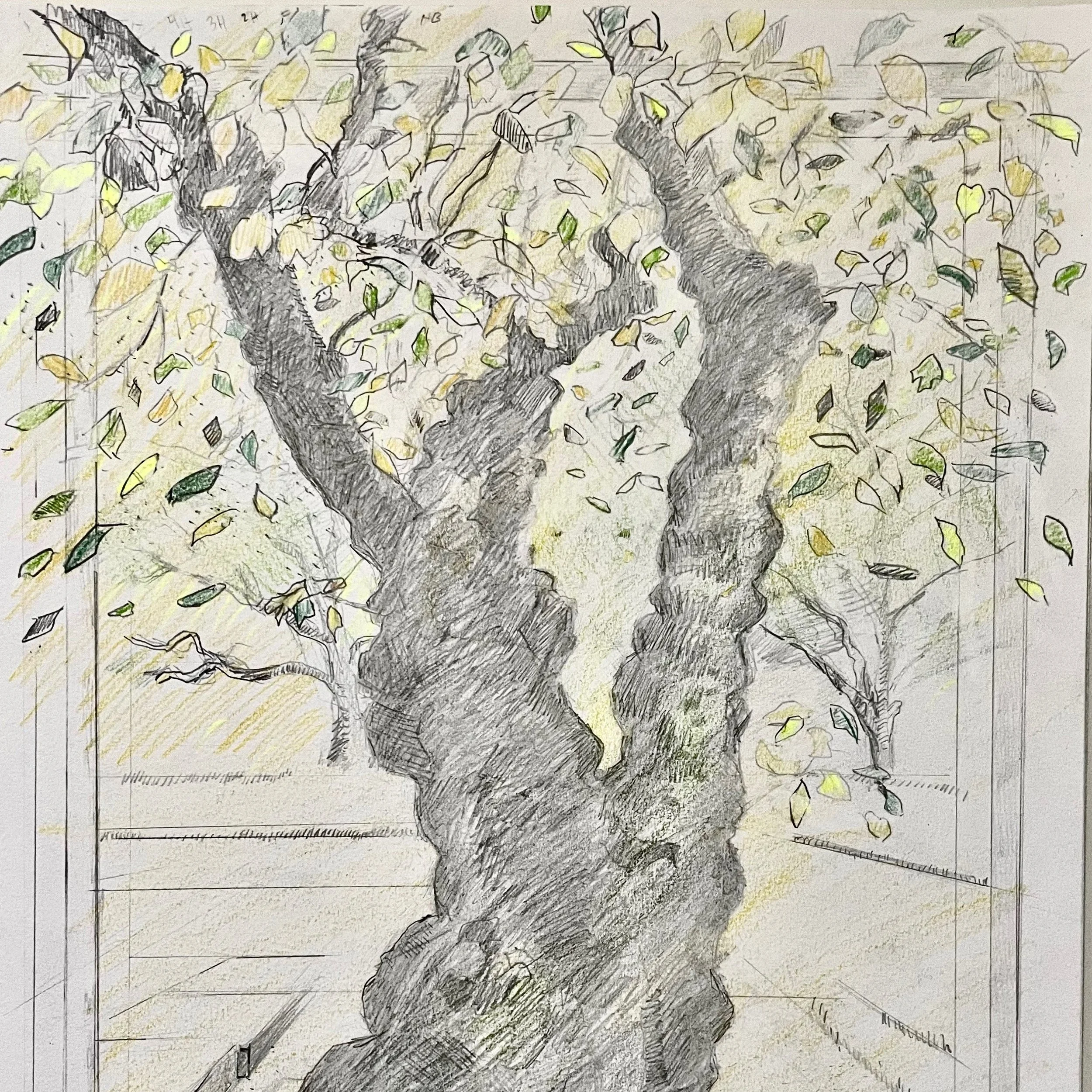 Summer 2023 Classes and Workshops — Art League Houston