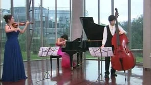 Chamber Musician — Elizabeth Joy Roe