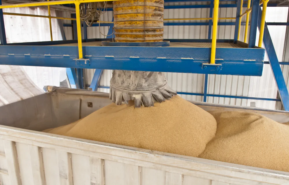 Bulk Materials DIscharge Hopper | DOCKSOLID | Bulk Port Equipment