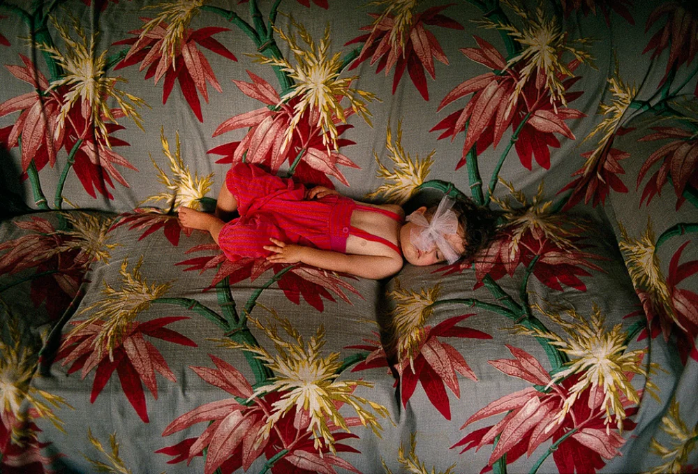 Seeing Gardens Sam Abell Photography