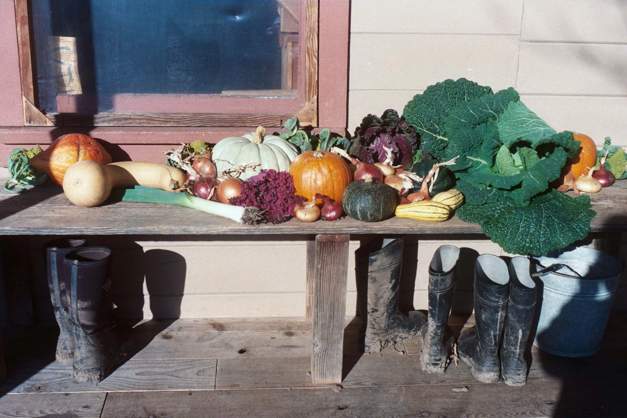 About the Farm — Persephone Farm