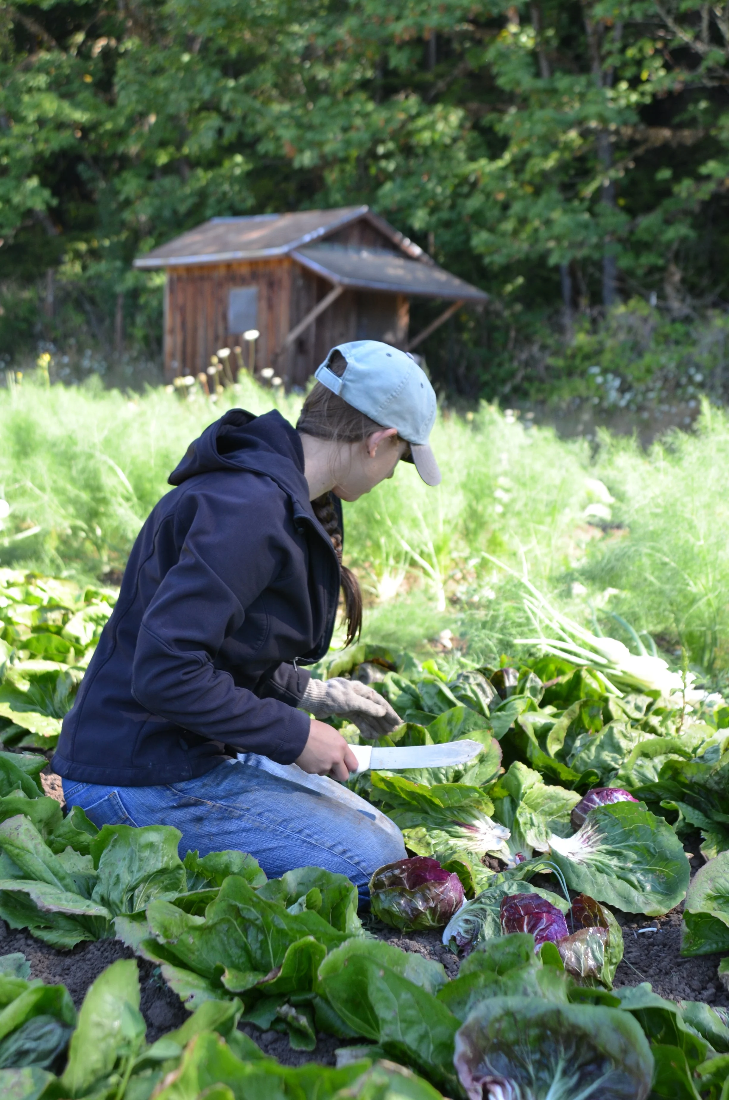 Employment — Persephone Farm