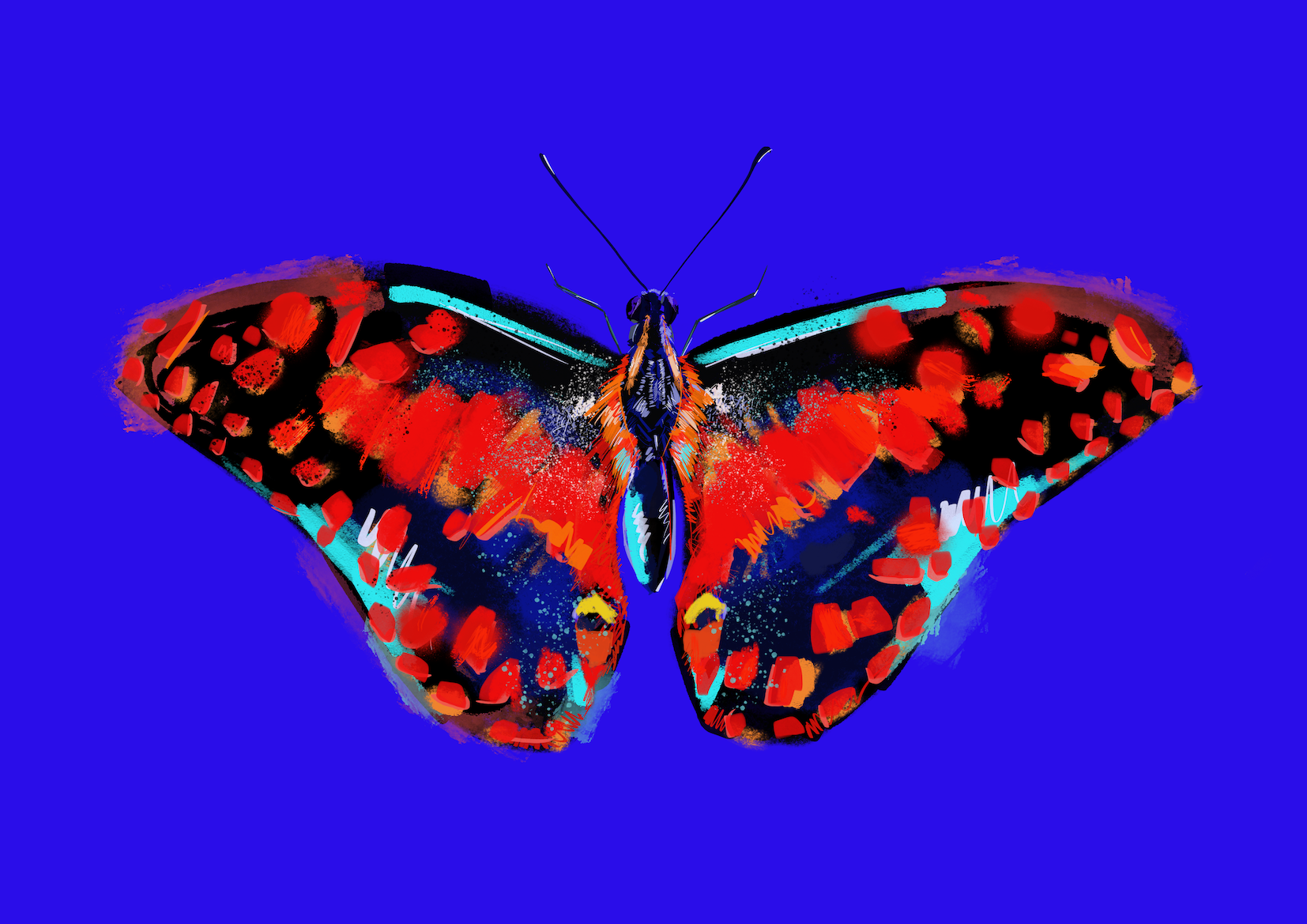 Luminous Flight: The Butterfly — OKJO