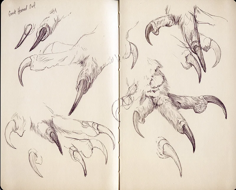 Drawing Tip — Alan Li