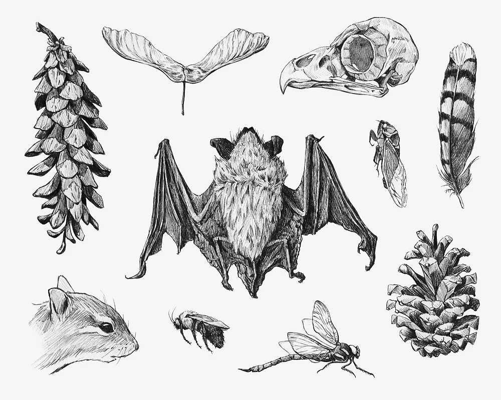 Think Like a Chef — Alan Li