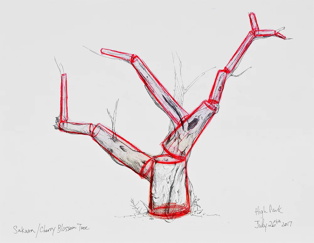 5 Tree Sketching tips — Alan Li