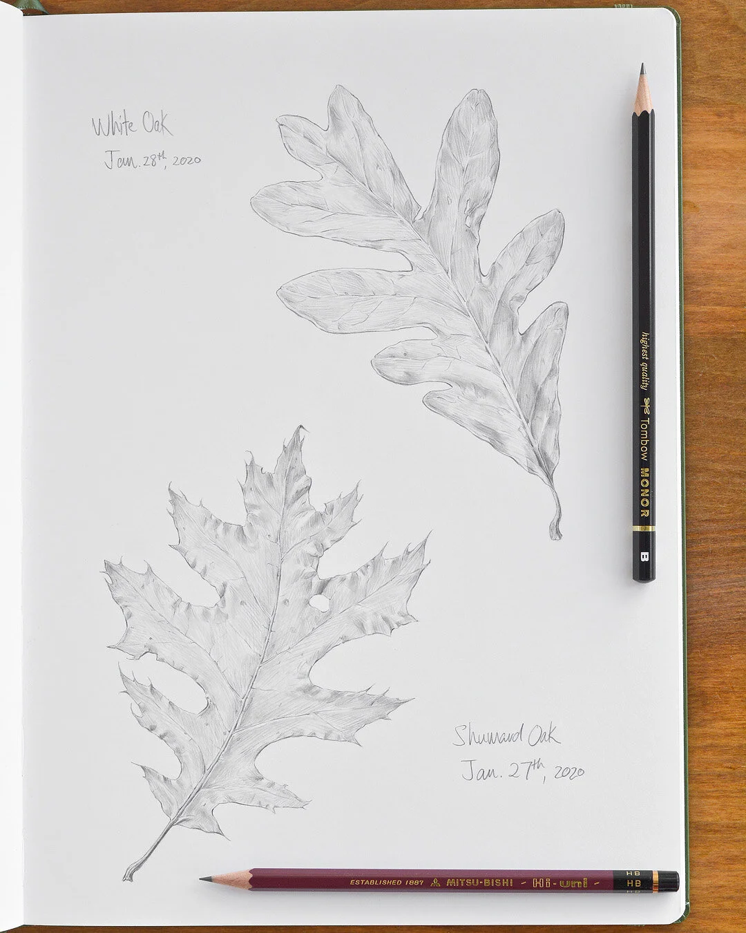 Pen & Ink Drawing Tips — Alan Li