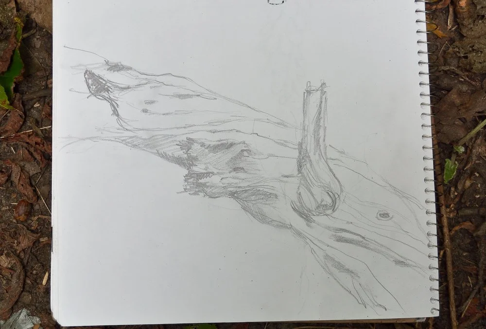High Park Ravine Sketching Workshop — Alan Li