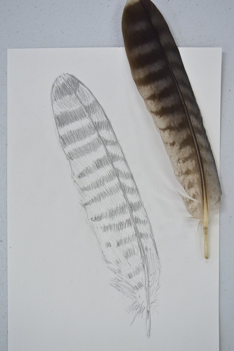 High Park Nature Drawing WK 1 — Alan Li