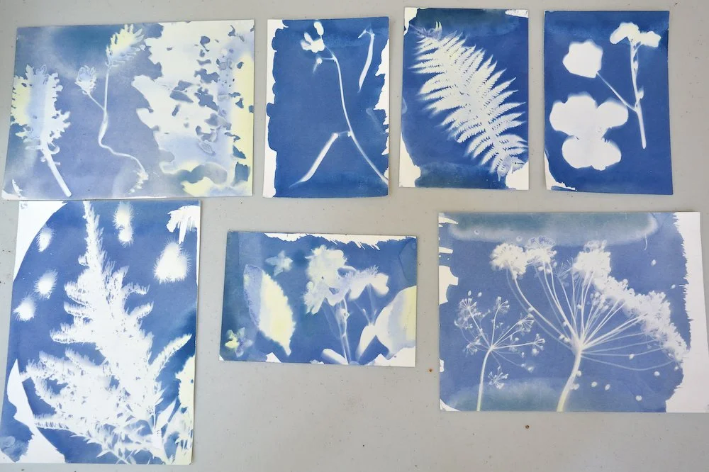 TBG Cyanotype Workshop — Alan Li