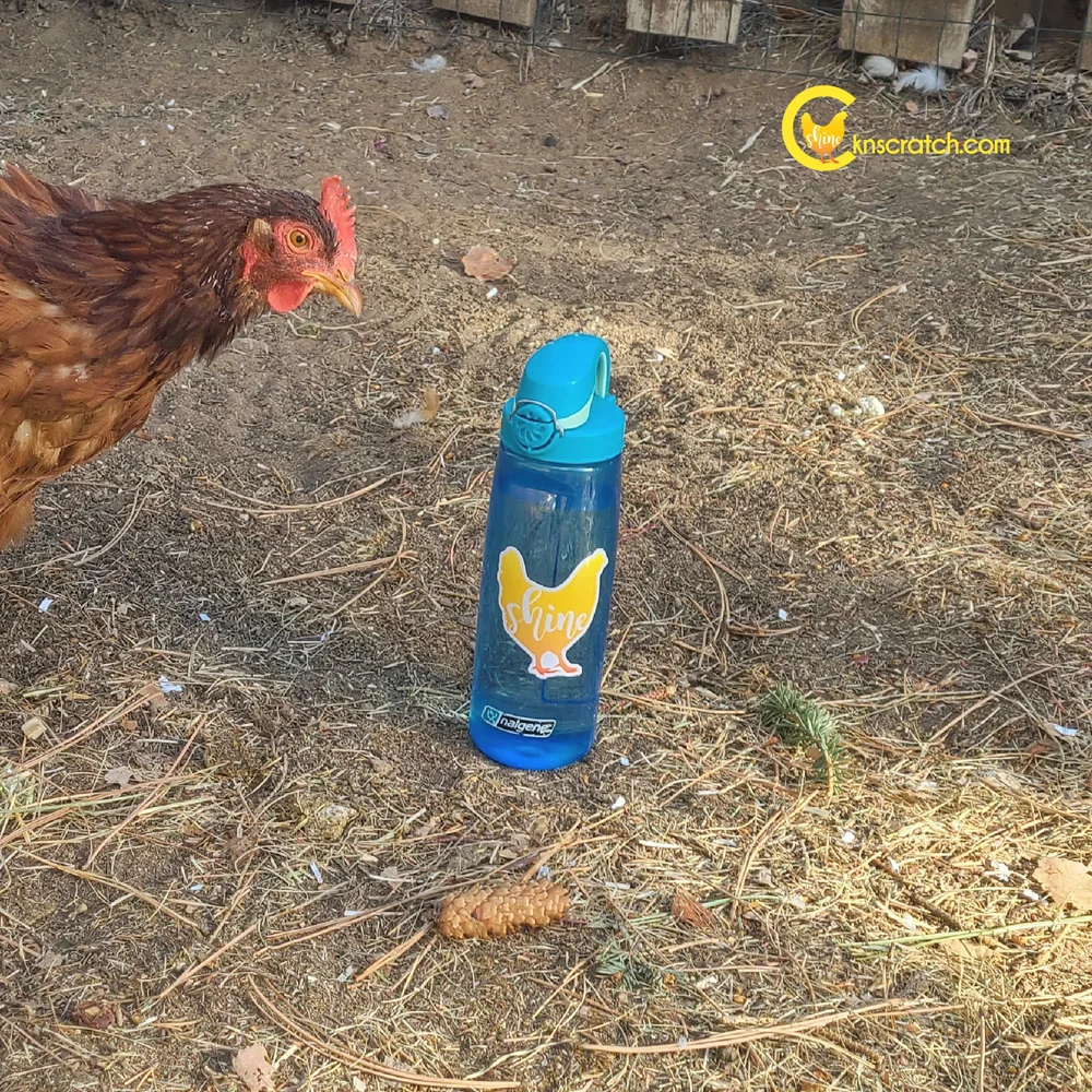Faithful Rubber Duck Ministering Gift (Ships to You) — Chicken Scratch ...