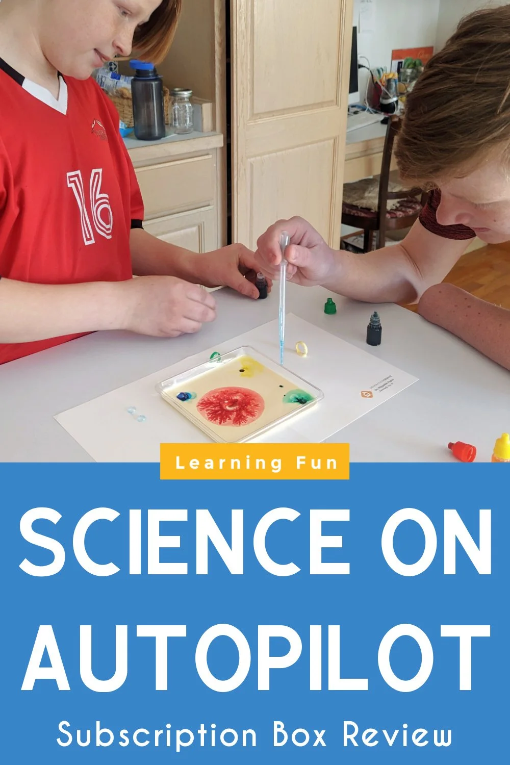 Science on Autopilot: Let the Fun Come to You with Monthly Experiment ...