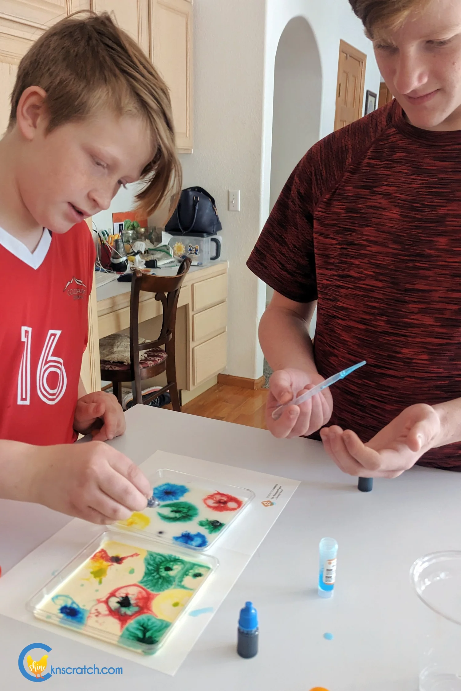 Science on Autopilot: Let the Fun Come to You with Monthly Experiment ...