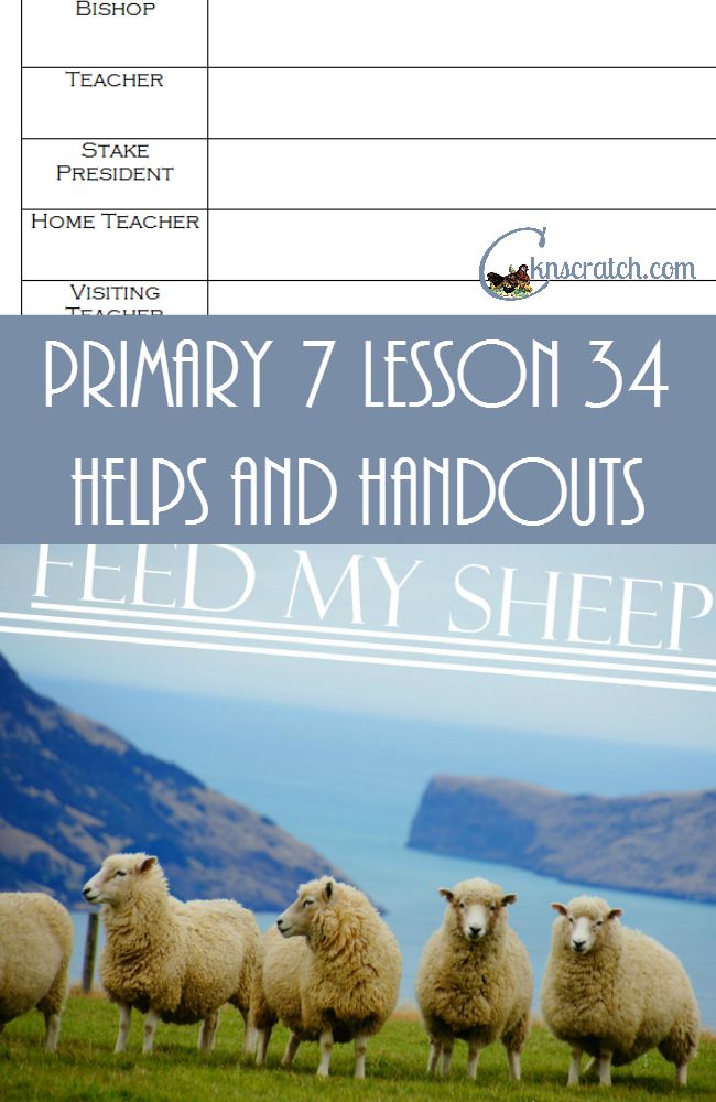 Feed My Sheep — Chicken Scratch N Sniff