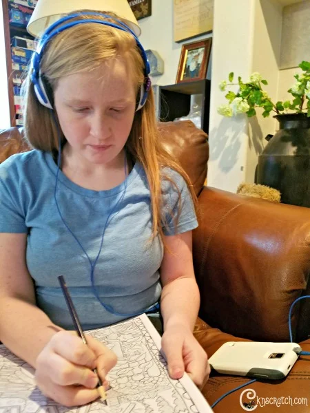 5 Latter-day Saint Family Gifts You Can Give this Christmas — Chicken ...