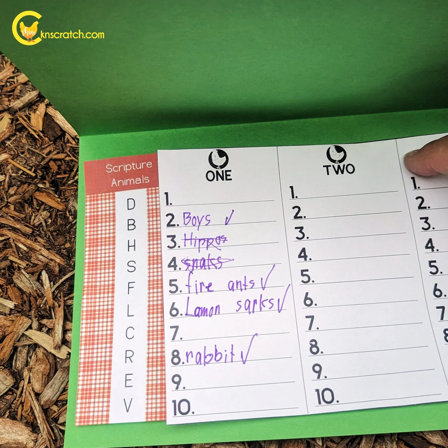 Can You Guess It? Gospel Fun Kit (Instant Download) — Chicken Scratch N ...